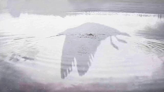 Алексей Белов - Не отпускай моей руки