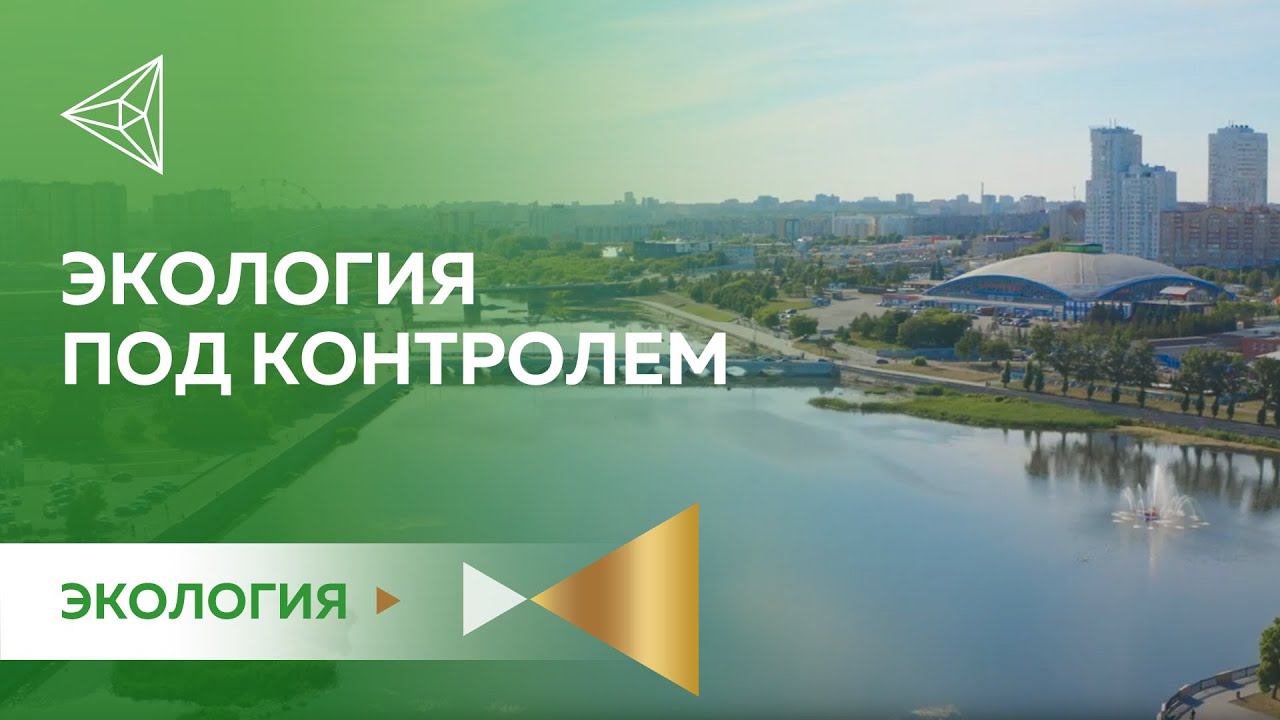 В правительстве Челябинской области создали координационный совет по вопросам экологии