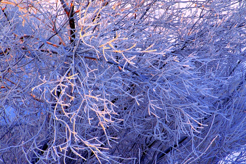 Синий Иней)