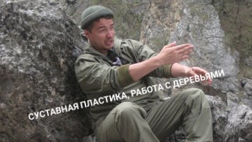 Суставная пластика: работа с деревьями