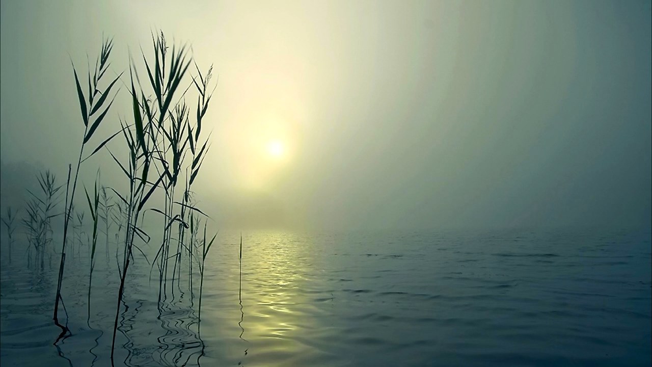 Память Глубины: 6. Исцеление.mp4