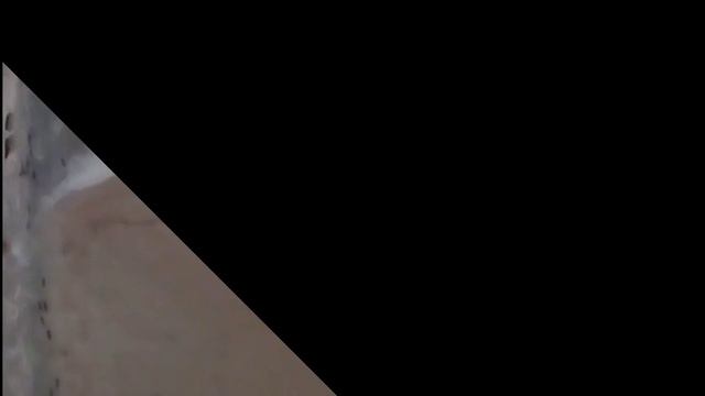 Тунис 2019 Caribbean World Mahdia