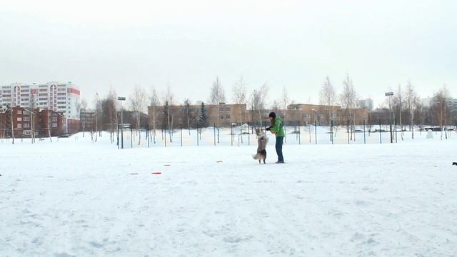 Фризби Вебстайл 2015  Елизавета и Фанта.mp4