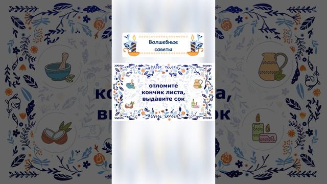 Волшебный совет первой помощи