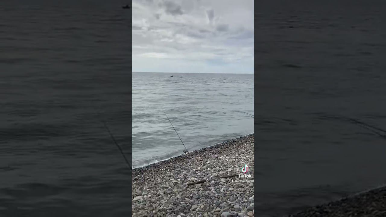 Рыбачок, рыбачок, где твоя улыбка