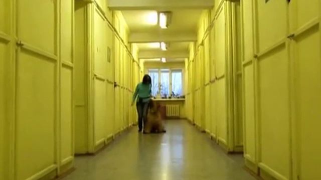 Бриар Моника, 30.12.11