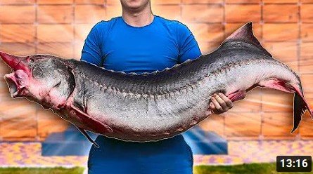 ПРИГОТОВИЛИ ОГРОМНОГО ОСЕТРА ВЕСОМ 44 КИЛОГРАММА.mp4