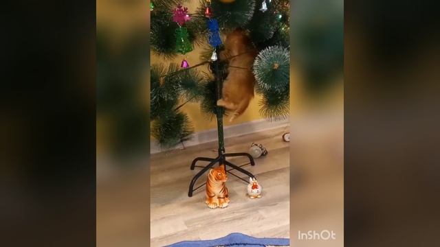 Весело встретим Новый год. Особенно кот.