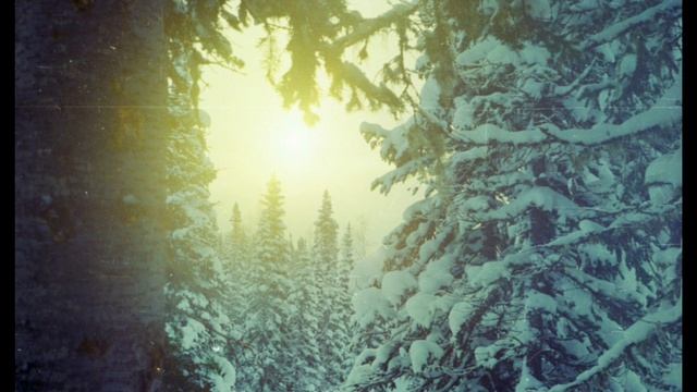 Горная Шория - 1995.mp4