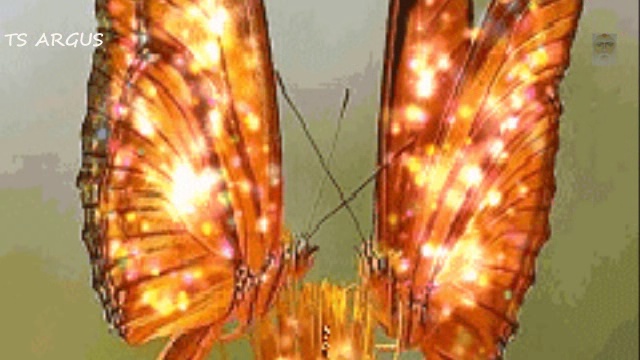 23 Проектировщик личного счастья