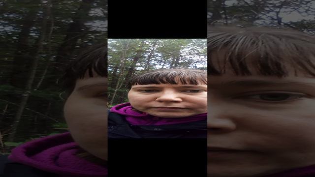 В лесу_1. Ем чёрные ягоды.