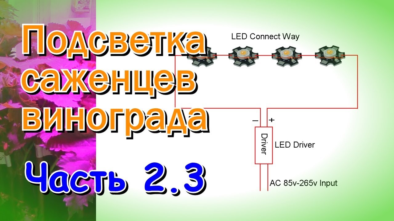 ? Светодиодная подсветка саженцев винограда. Часть 2.3