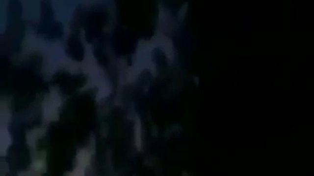 На Тайване происходит что-то странное