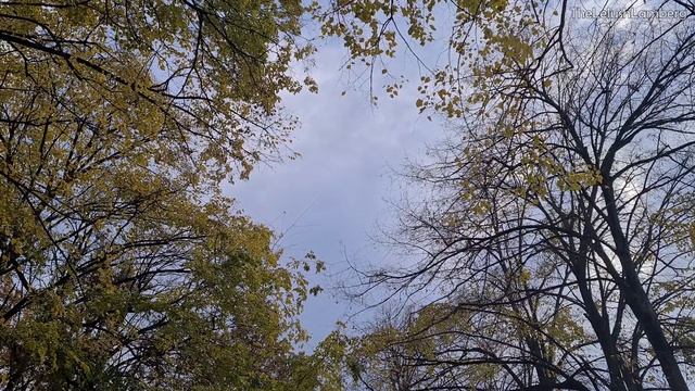 World in Emotion #44 Molodezhniiy square (Autumn & Spring)