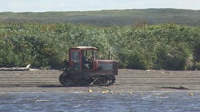 Сохраним лососей ВМЕСТЕ!