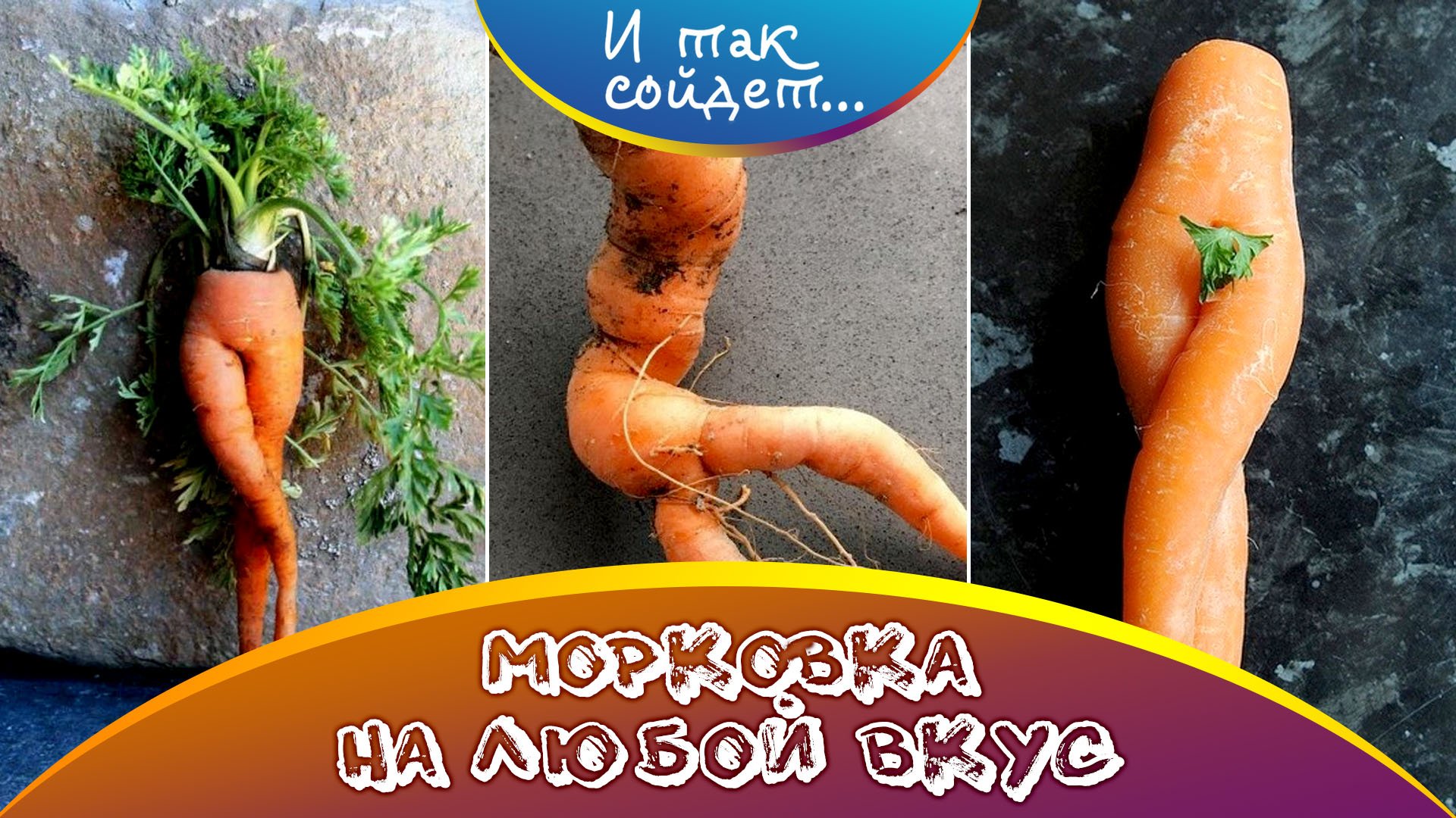 И так сойдет: как приготовить ПП-кексы из моркови