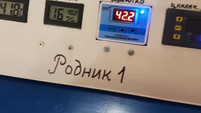 Обработка 2023. Улья №20 ,№30 и №18. Пчеловодство
