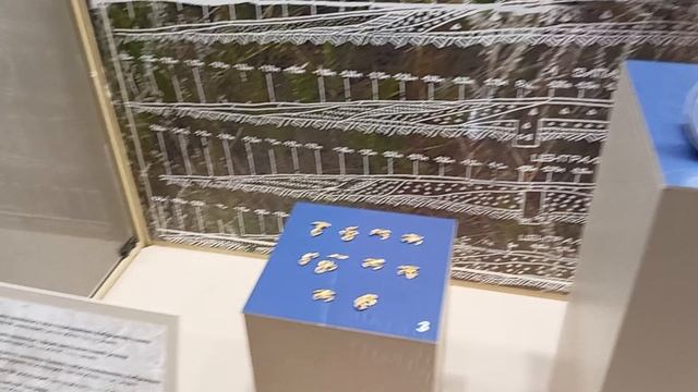 Азовский музей-заповедник: сарматские украшения