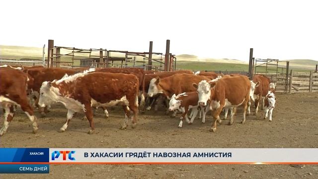 7 ДНЕЙ (9 апреля 2022)