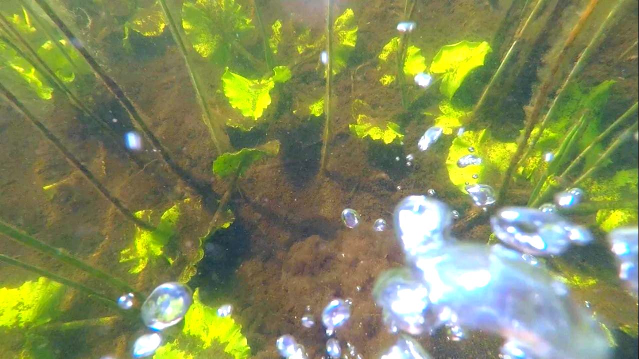 ОЗЕРО ЧЕРНЕНЬКОЕ ПОД ВОДОЙ 2023.05.16