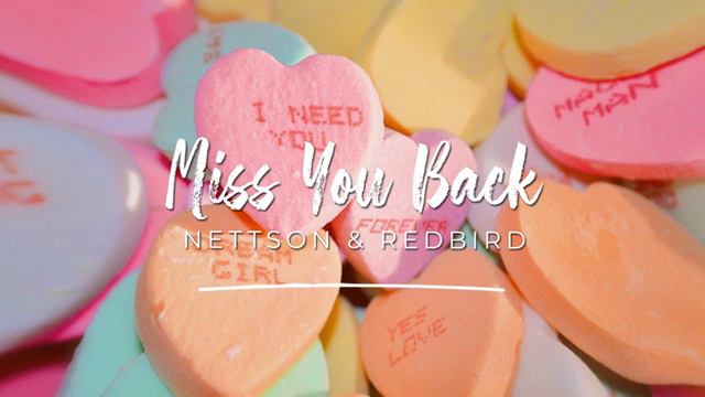 🍬 Tropical Chill Pop (Music For Videos) - _Miss You Back_ by Nettson & Redbird  🇫🇷
