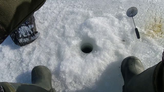 ЗАКРЫЛИ СЕЗОН ЗИМНЕЙ РЫБАЛКИ 2024, ОТОРВАЛИСЬ ПО ПОЛНОЙ, НАЛОВИЛ МЕШОК РЫБЫ