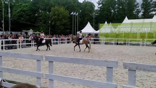 Понное выступление