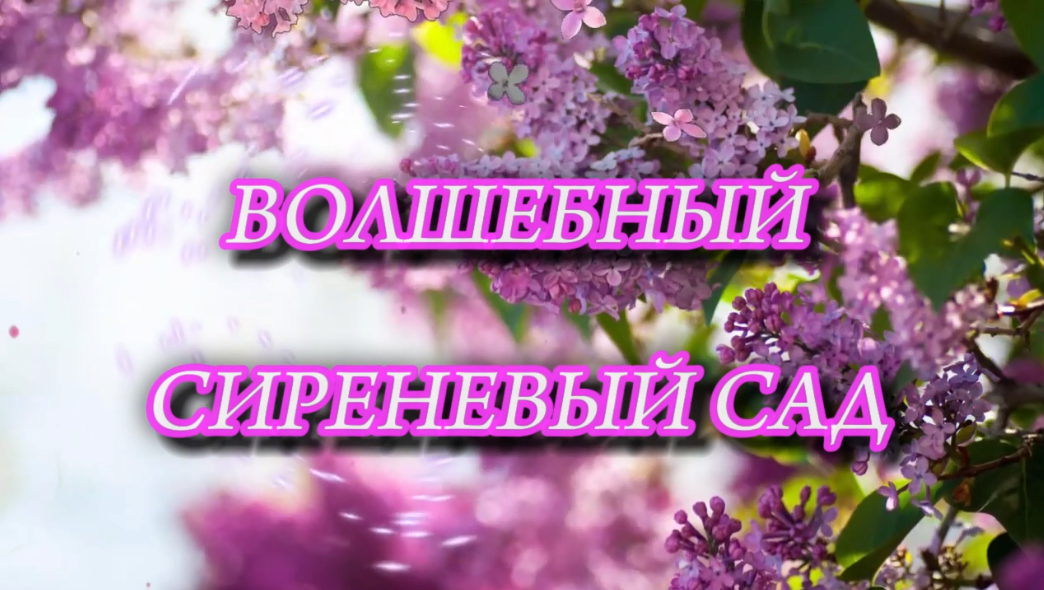 ВОЛШЕБНЫЙ СИРЕНЕВЫЙ САД