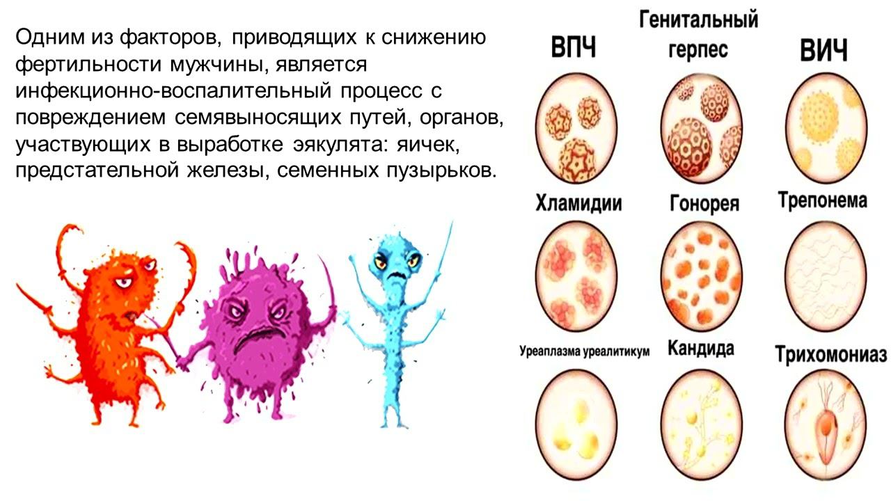 Мужское здоровье и ИППП
