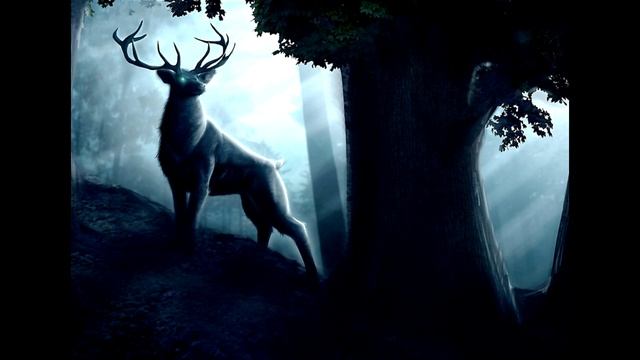 Библия. 18-05. Книга Товита (05). И сказал Товия в ответ ему.