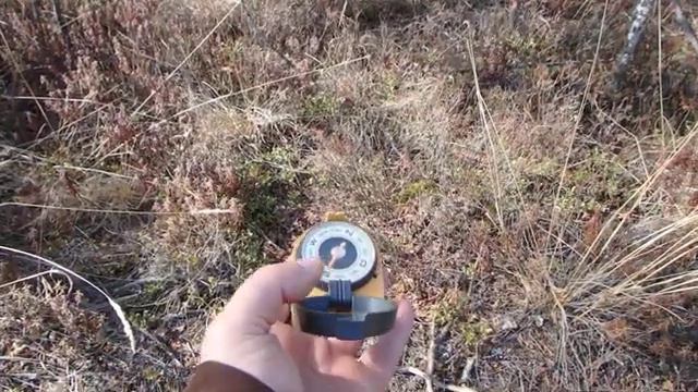 Ориентирование в лесу. Аварийный азимут