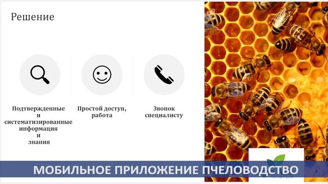 3 выпуск Мобильное приложение Пчеловодство