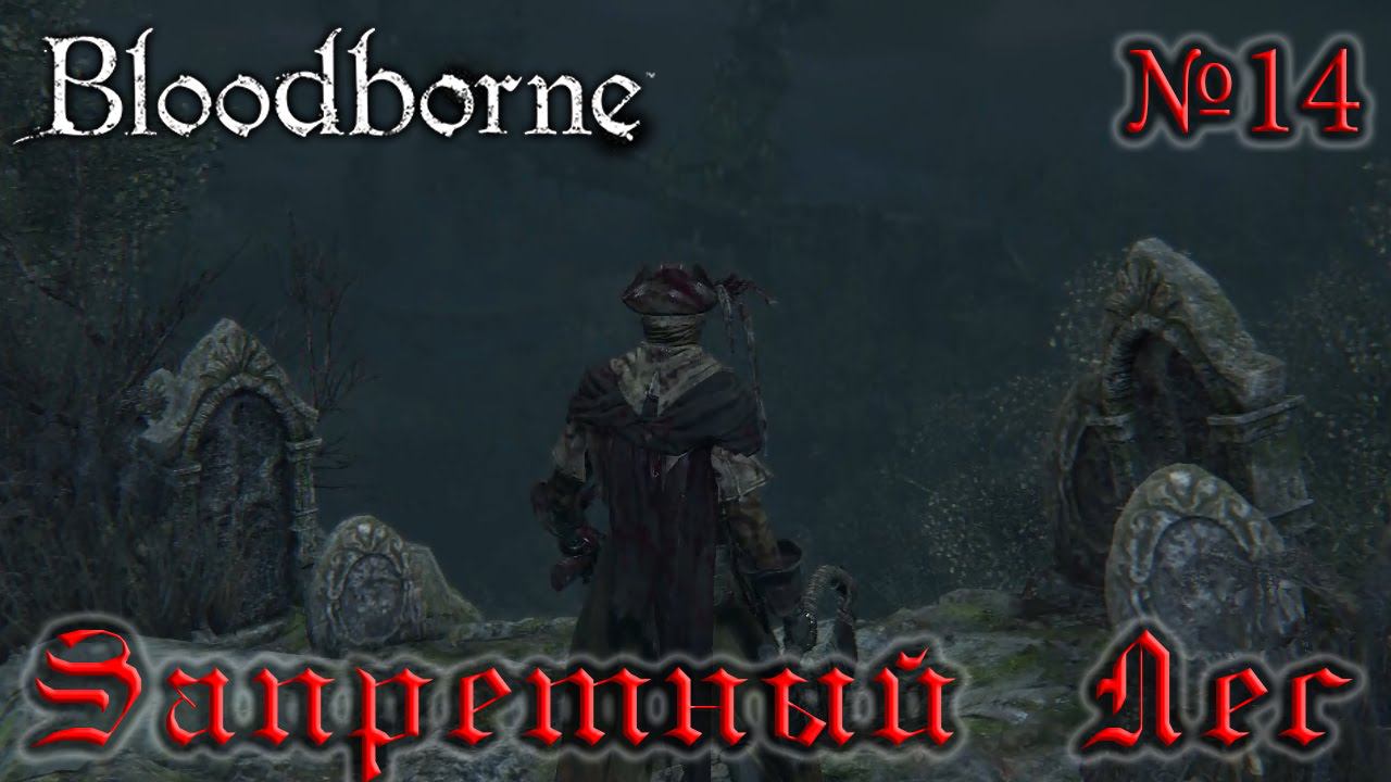 BloodBorne Прохождение, тактика и секреты - #14 Запретный Лес