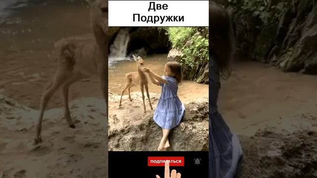 Смешные животные | Две Подруги:))#shorts