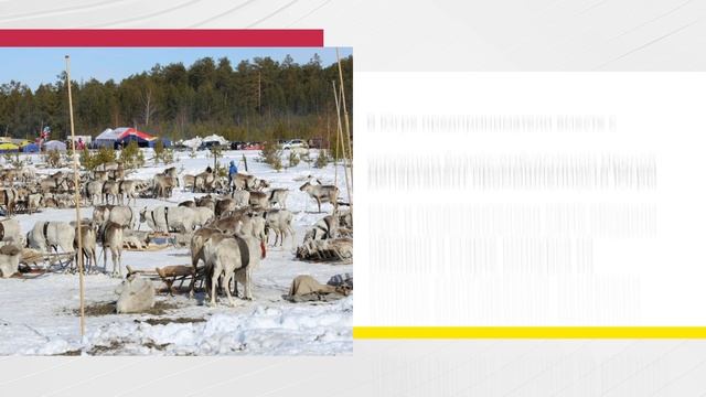 ПРОбизнес. Сургут. 02.07.2022