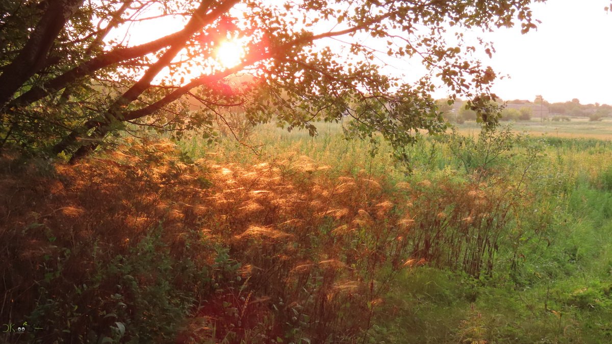 Рассвет. Красота солнечных лучей