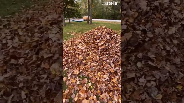 VID_20221222_214516_159.mp4