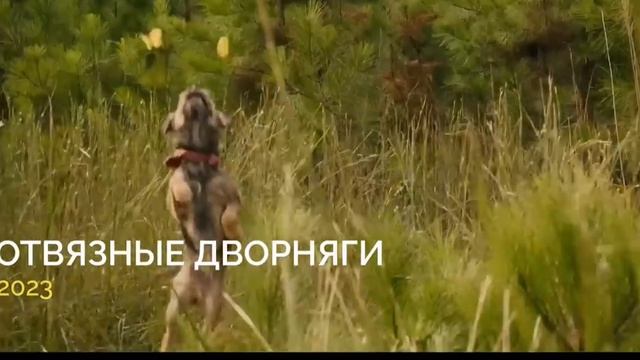 8 лучших фильмов в хорошем качестве