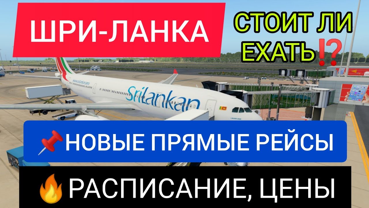 ШРИ ЛАНКА 2022: НОВЫЕ РЕЙСЫ ИЗ МОСКВЫ. Отдых, цены, курорты, пляжи. Шри Ланка открытие границ 2022