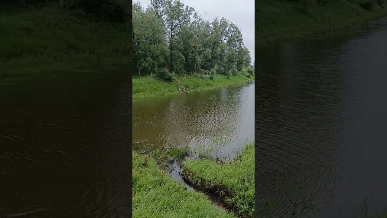 Урочище "Настюшкин залив" - кусок старицы, постоянно соединенный с рекой Пышма