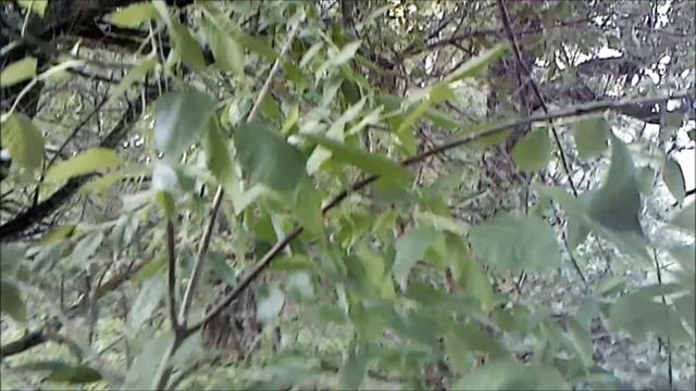 аномальная зона! 2 часть.