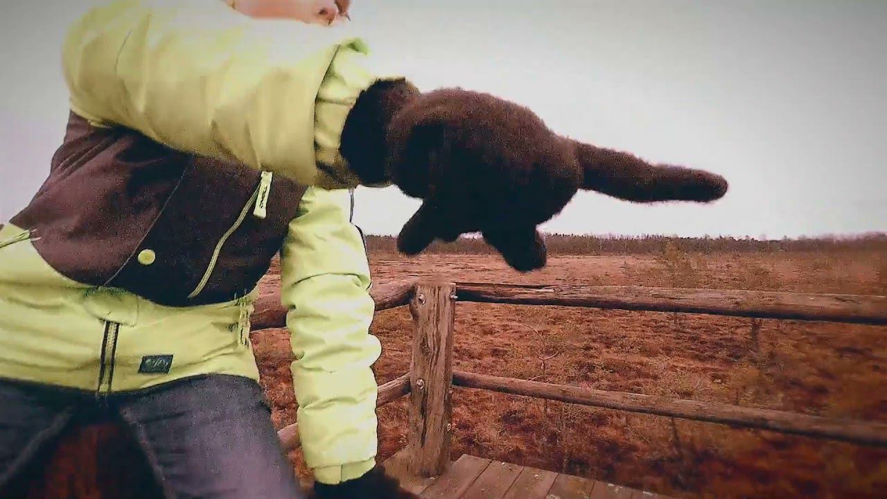 Mannequin Boloto (болота Вильяндимаа)