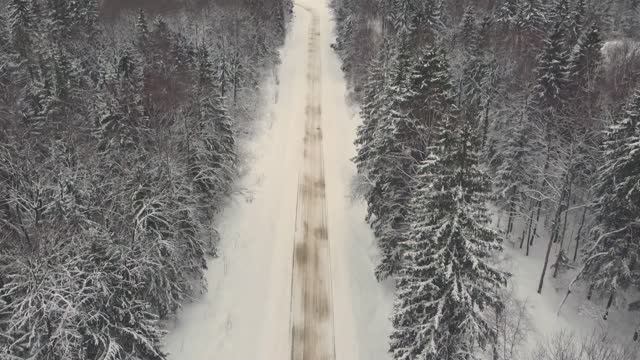 Прогулки на районе. Гуляем с дроном и корги.