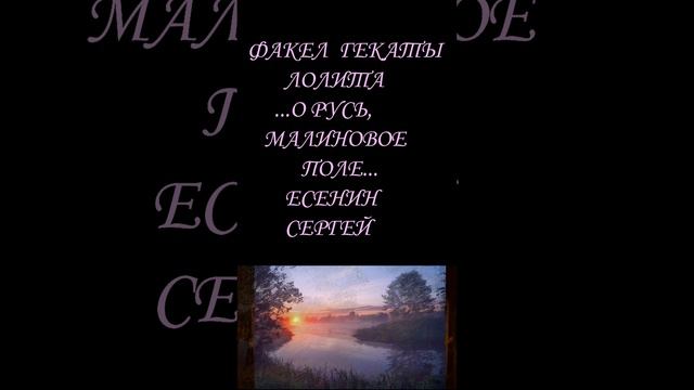 #shorts_О_РУСЬ_МАЛИНОВОЕ_ПОЛЕ_ЕСЕНИН_СЕРГЕЙ_СЕРЕБРЯНЫЙ_ВЕК_ФАКЕЛ_ГЕКАТЫ_ЛОЛИТА_250