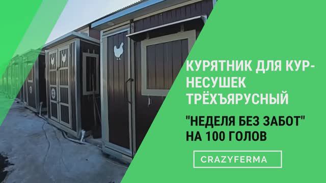 АВТОМАТИЗИРОВАННЫЙ КУРЯТНИК НОВОГО ПОКОЛЕНИЯ на 100 голов кур-несушек! #ферма #птицы #курятник