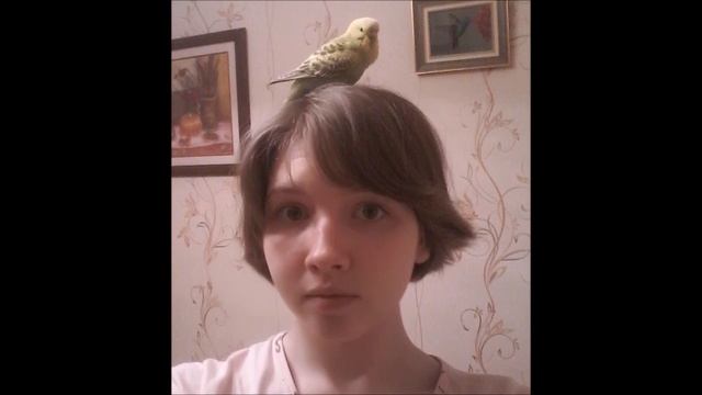 Посвящается Луше