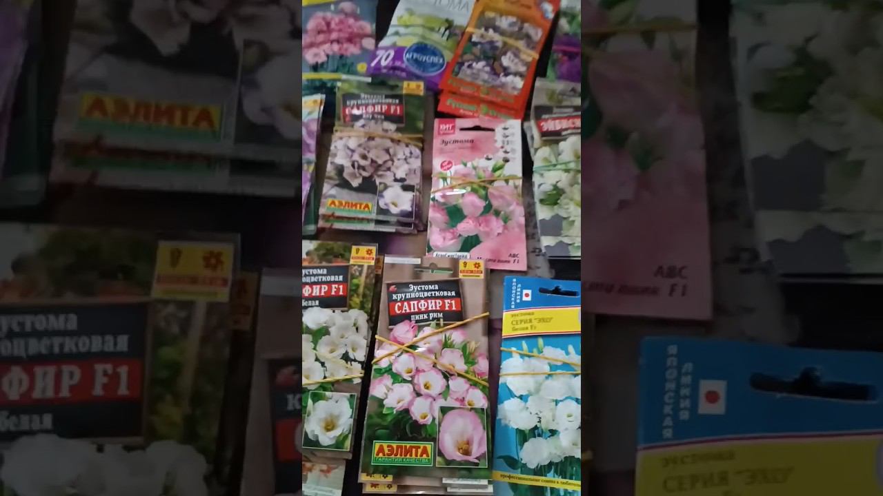 Посев эустомы.