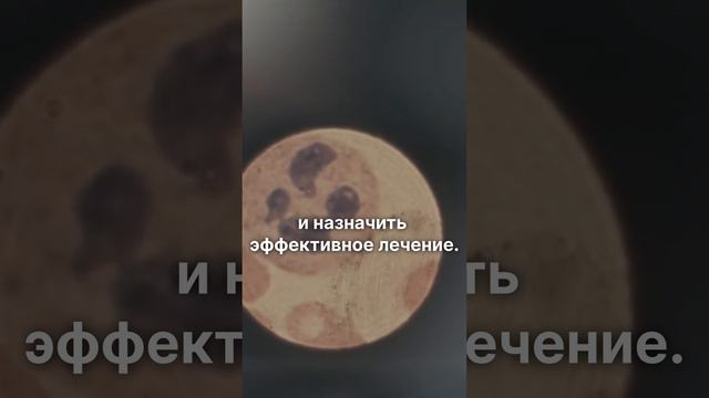 Чем на самом деле занимаются патологоанатомы?