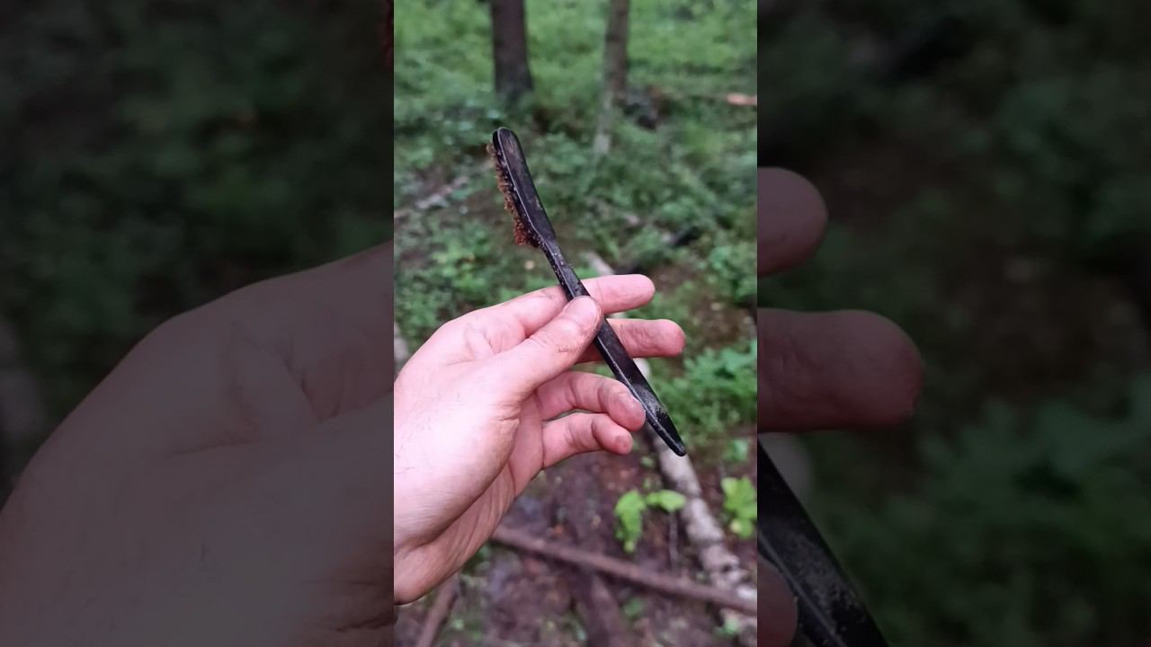 Быт бойцов всегда интересен! Нашли зубную щетку в блиндаже Коп по войне #война #история #коп #shorts