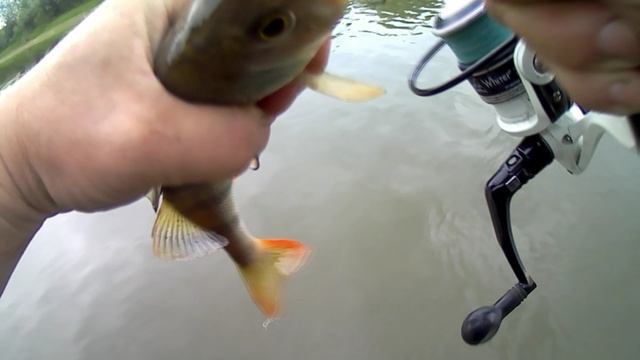 Рыбалка на реке Белая. Окунь. Ультралайт.